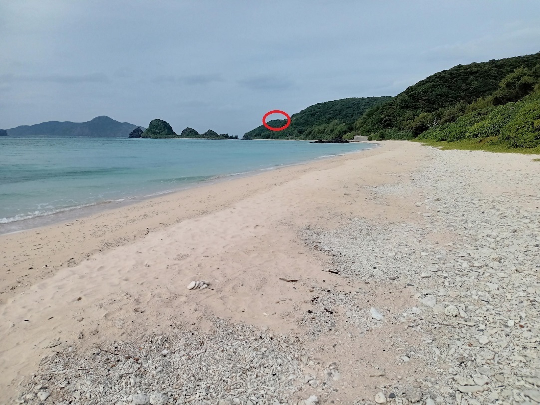 年末年始沖縄の旅3日目①～座間味島サイクリング～: Jのひとりごと